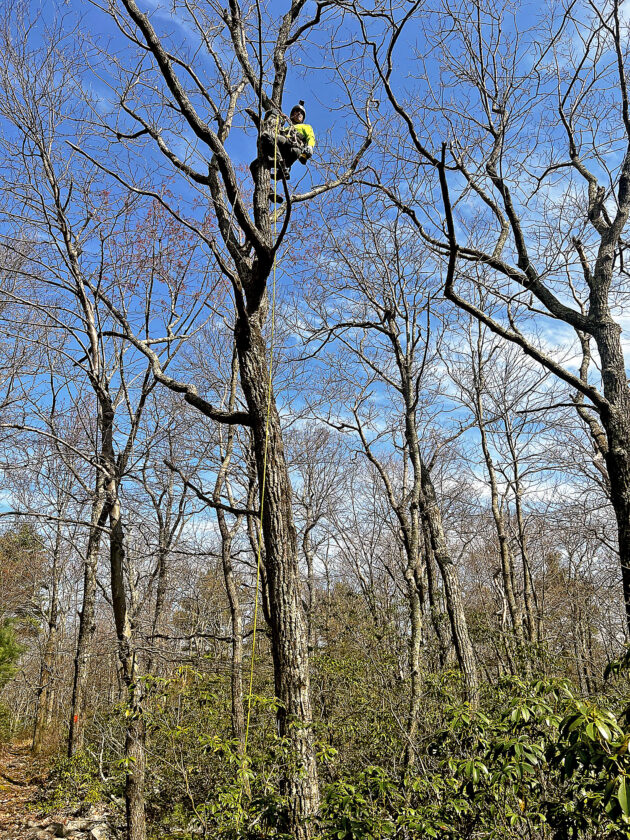 About The Climb | News, Sports, Jobs - The Sentinel